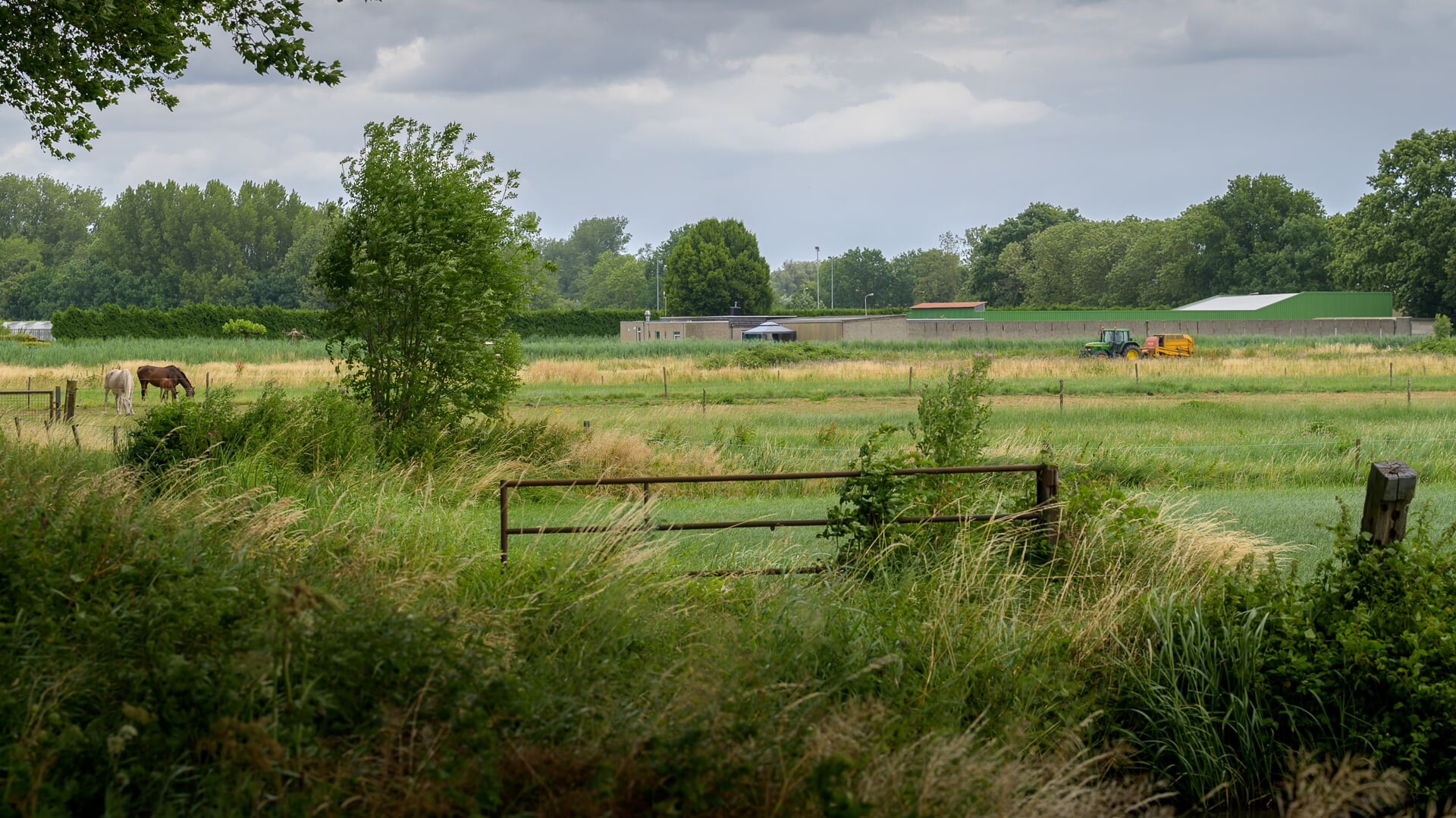 Voortgang tijdelijke noodopvang asielzoekers Druten - Demaasenwaler.nl Voortgang tijdelijke noodopvang asielzoekers Druten - Demaasenwaler.nl