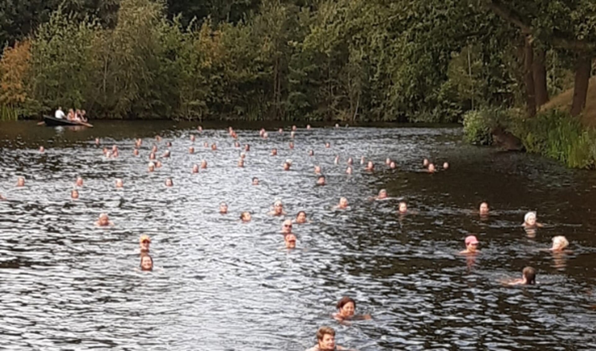 Kilometerzwemtocht De Kikker met record aantal deelnemers - De ... Kilometerzwemtocht De Kikker met record aantal deelnemers - De ...