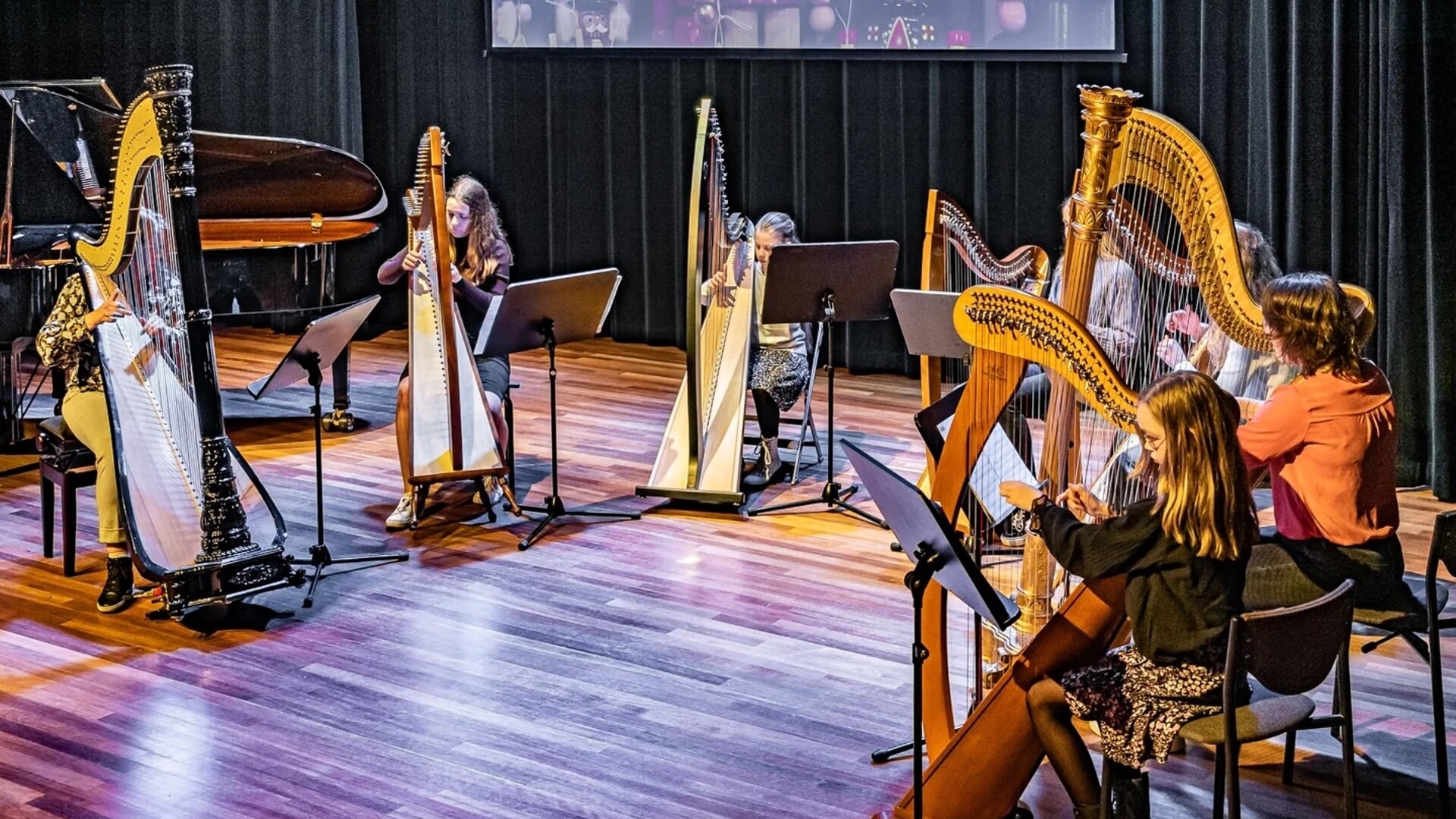 Orkest van 60 harpen (!) speelt De Notenkraker in de Tuyter | Al het ... Orkest van 60 harpen (!) speelt De Notenkraker in de Tuyter | Al het ...