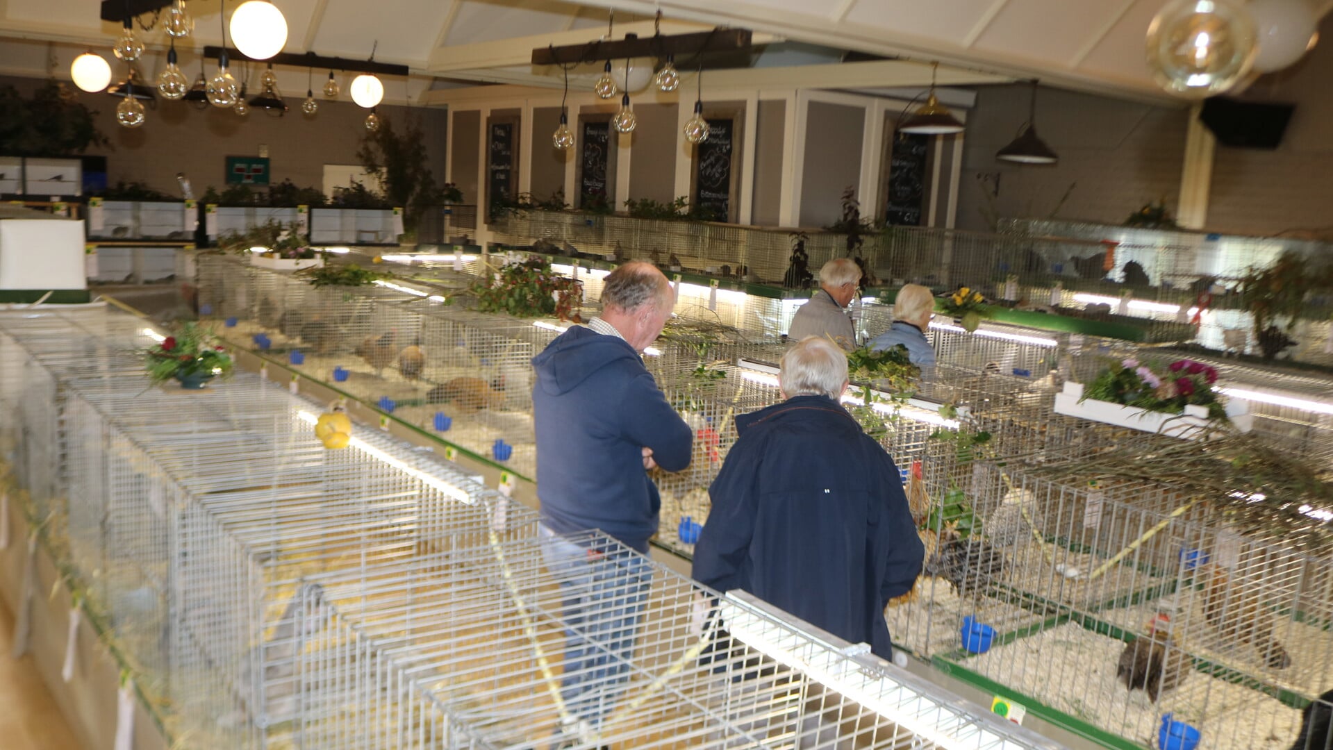 Honderdste expositie PEKLO in Lochem | Maatschappij - Berkelbode.nl Honderdste expositie PEKLO in Lochem | Maatschappij - Berkelbode.nl